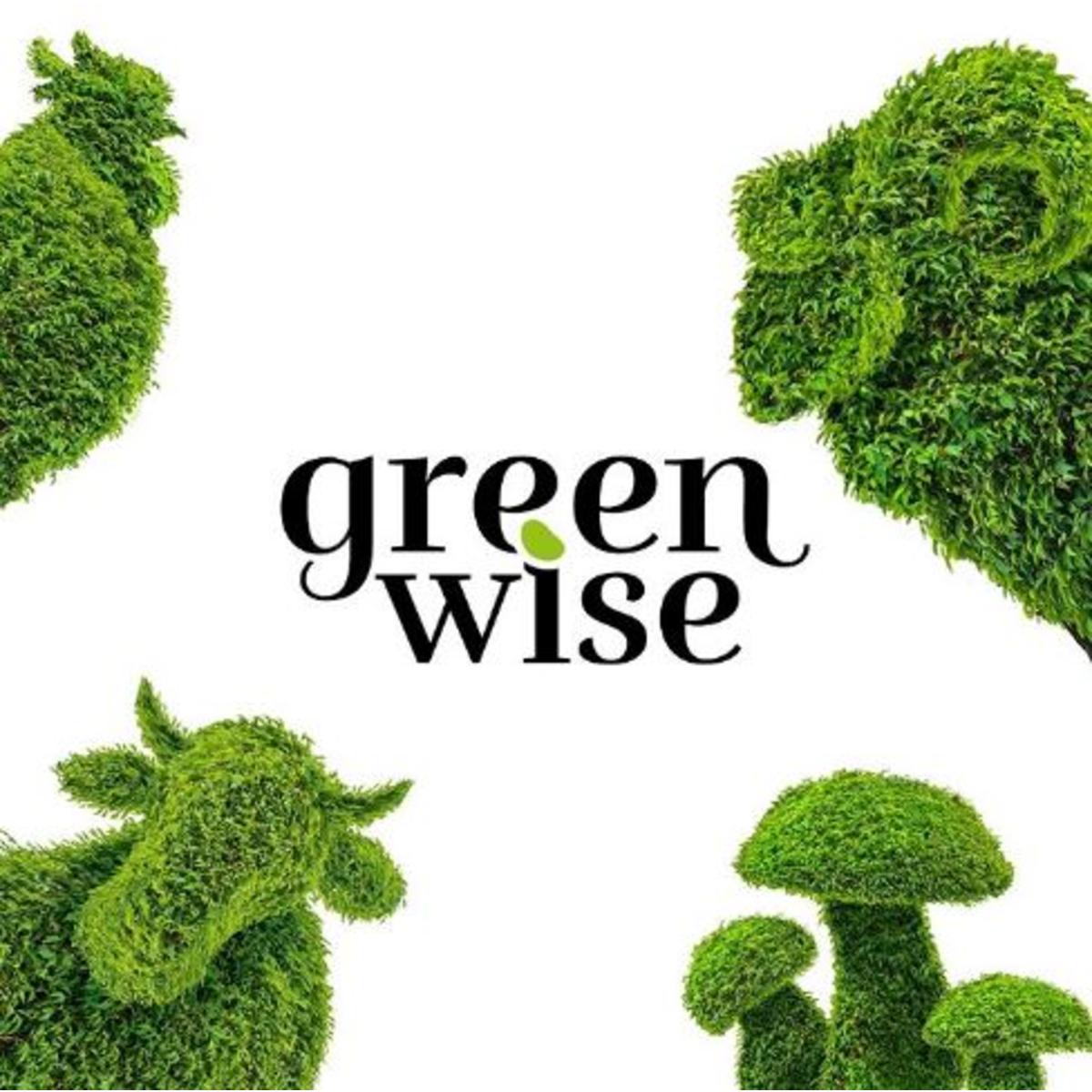 Купить Растительное высоковолокнистое мясо "Вместо говядины" GREENWISE ...